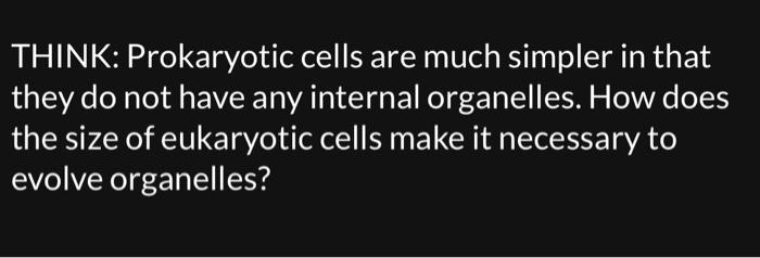 Solved THINK: Prokaryotic cells are much simpler in that | Chegg.com
