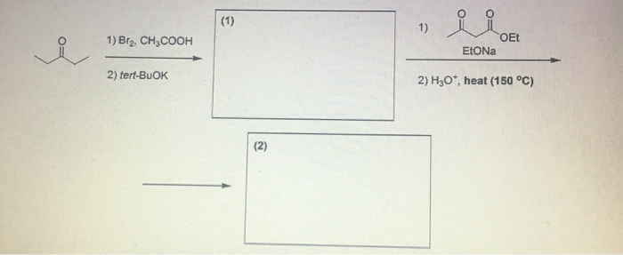 Solved 1) Bra, CH3COOH OET EtoNa 2) tert-BuOK 2) H30*, heat | Chegg.com