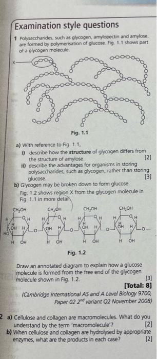 Solved Examination style questions 1 Polysacchandes, such as | Chegg.com