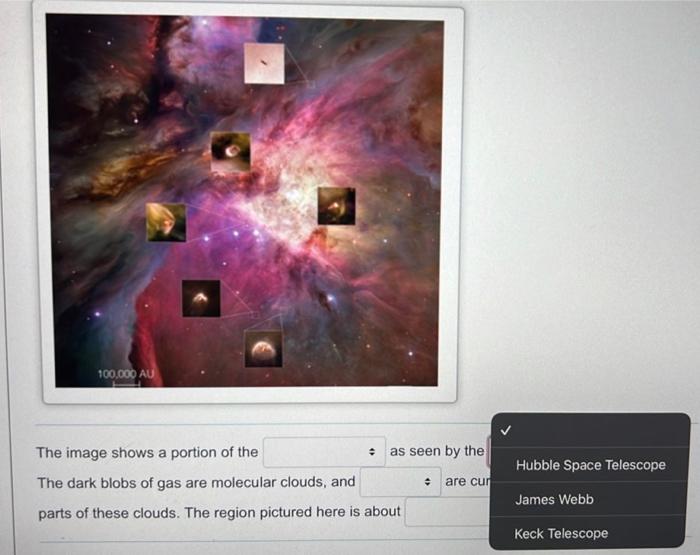 Solved The image shows a portion of the The dark blobs of | Chegg.com