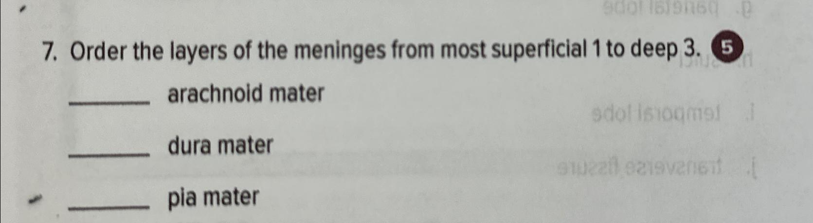 Solved Order the layers of the meninges from most | Chegg.com