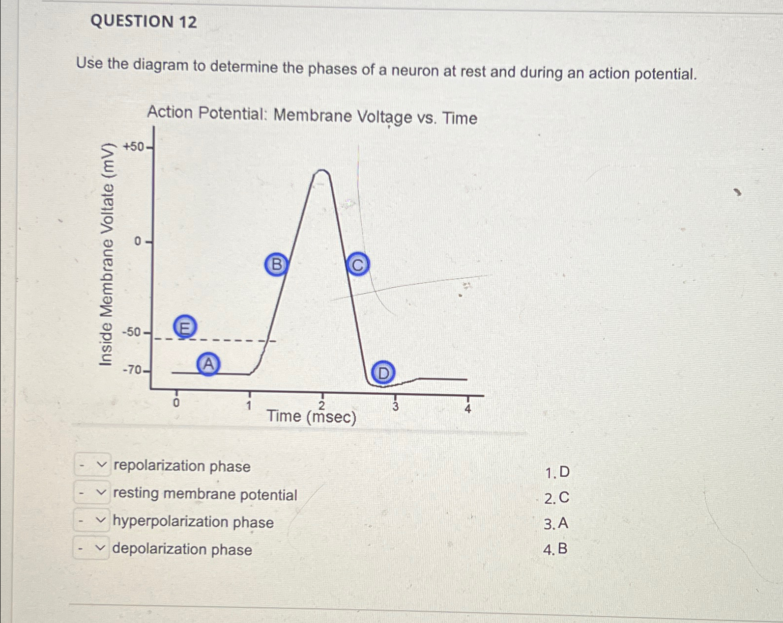 Solved QUESTION 12Use the diagram to determine the phases of | Chegg.com