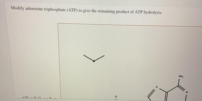 Solved Modify adenosine triphosphate (ATP) to give the | Chegg.com