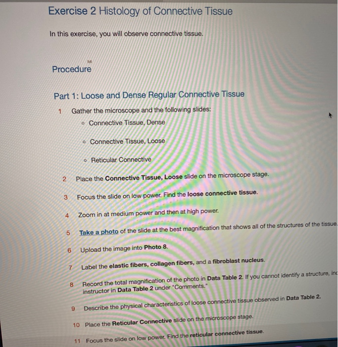 Exercise 2 Histology of Connective Tissue Data | Chegg.com