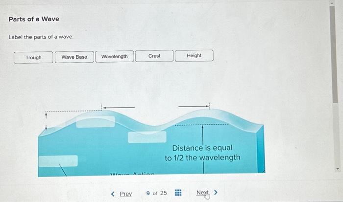 Solved Parts of a Wave Label the parts of a wave. | Chegg.com