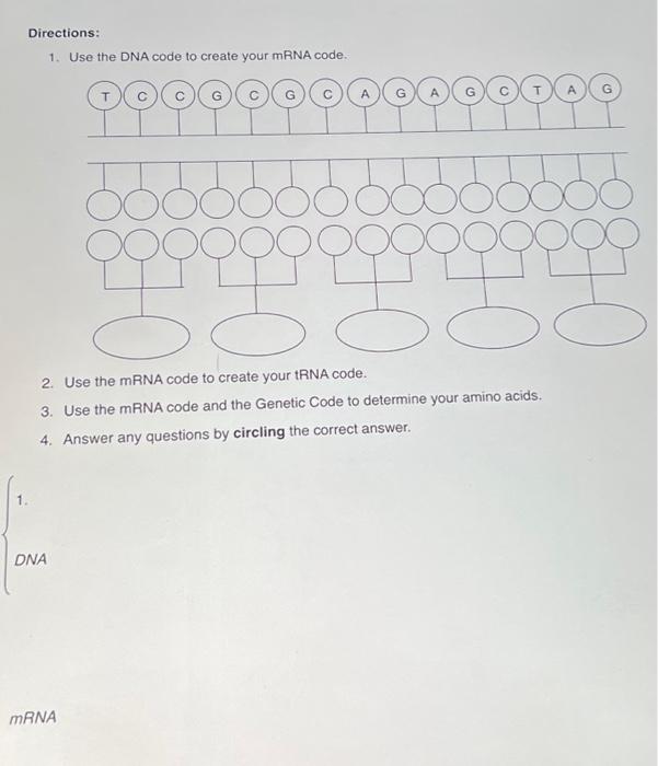Solved 1. Use the DNA code to create your mRNA code. 2. Use | Chegg.com