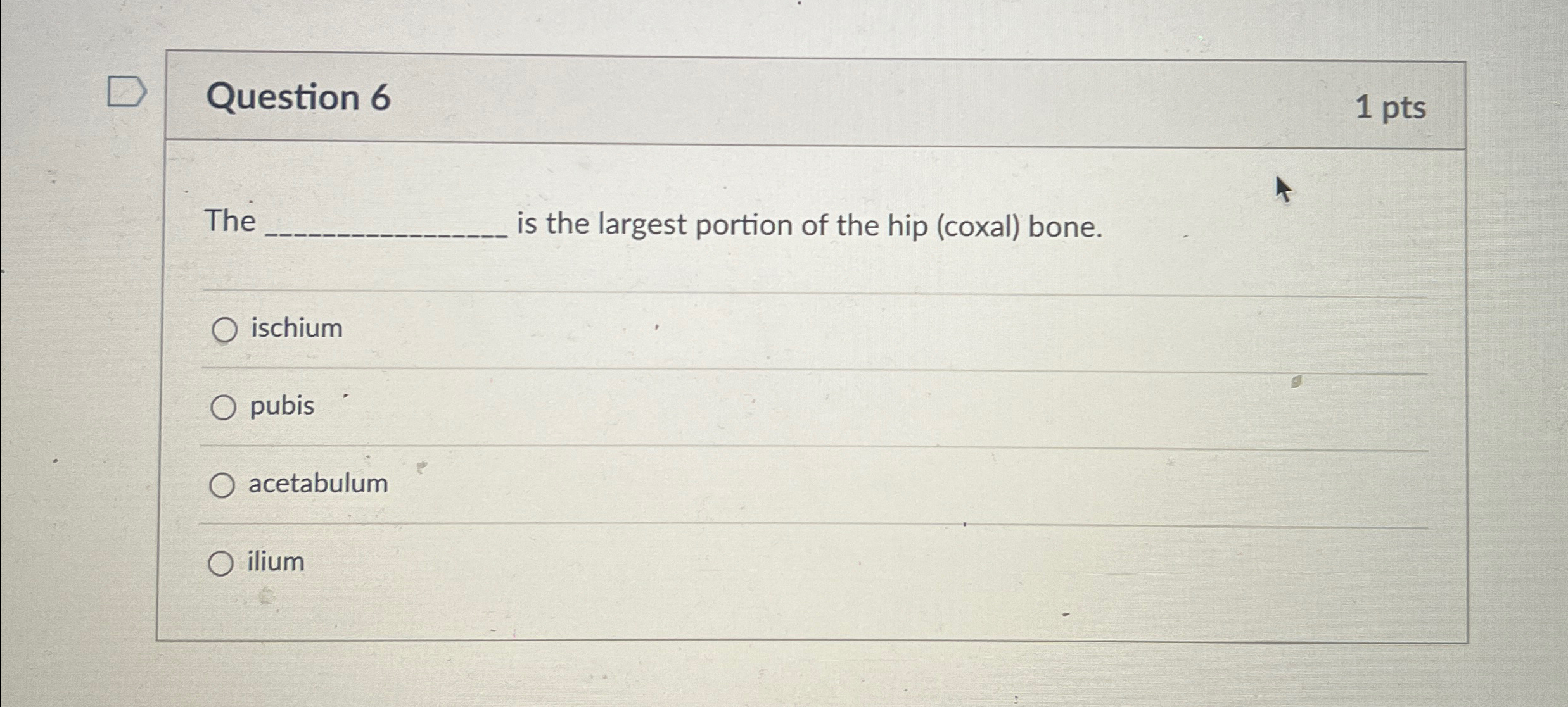 Solved Question 61 ﻿ptsThe is the largest portion of the hip | Chegg.com