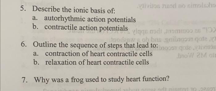 Solved 5. Describe the ionic basis of: a. autorhythmic | Chegg.com