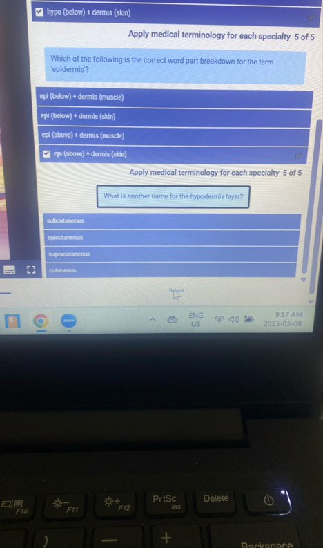 Solved hypo (below) ﻿ dermis (skin)Apply medical | Chegg.com