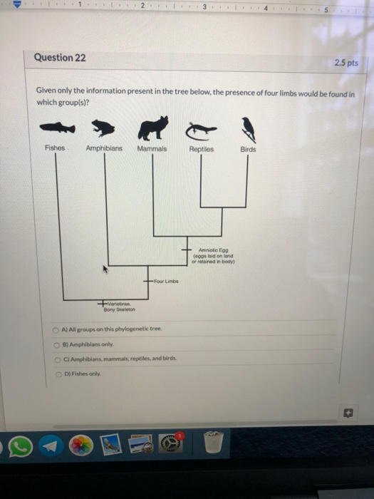 Solved File Edit View Insert Format Tools Add-ons - Share A | Chegg.com