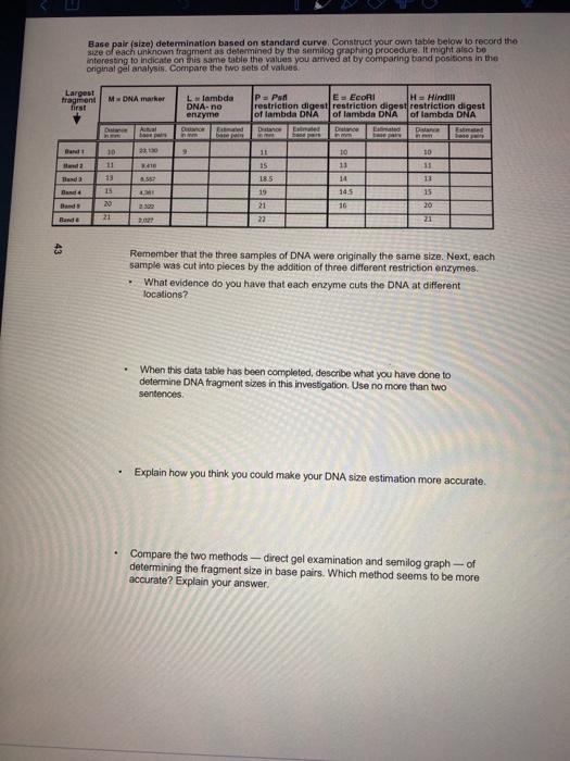 Solved Base pair (size) determination based on standard | Chegg.com