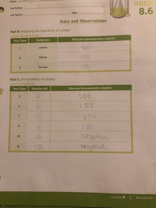 Solved Name REFLECTIVE EXERCISES 8.6 Lab Partner Date Lab | Chegg.com