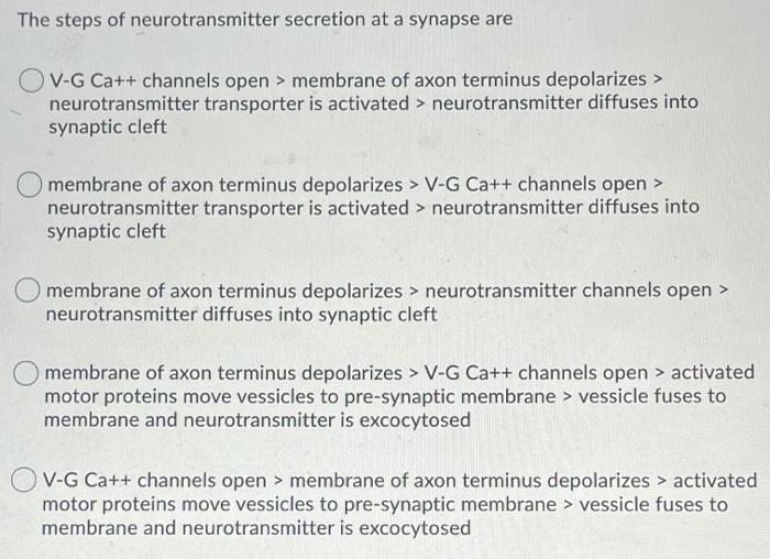 Solved The steps of neurotransmitter secretion at a synapse | Chegg.com