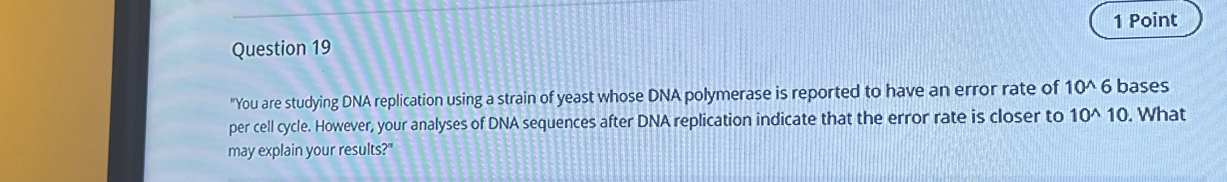 Solved You are studying DNA replication using a strain of | Chegg.com