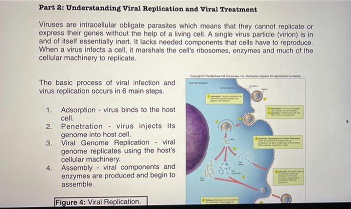 Solved Part 1: Understanding Shingles Case Study: Today's | Chegg.com