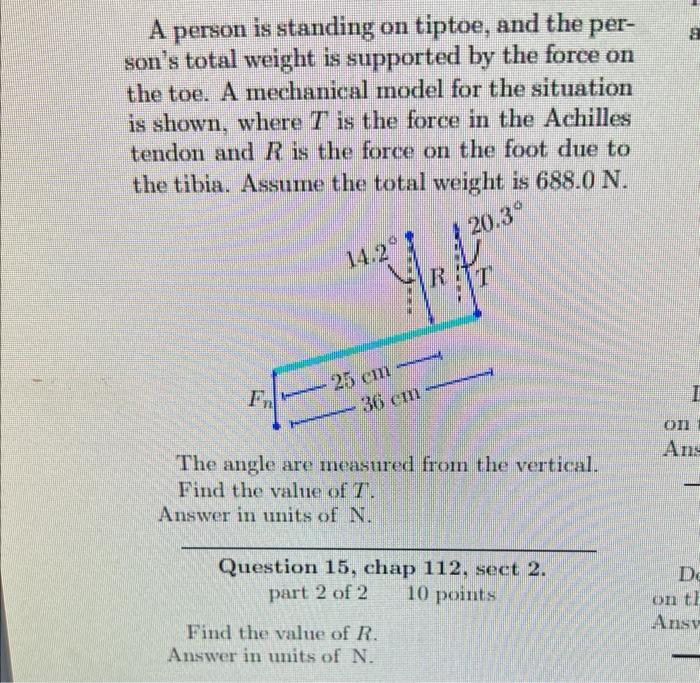 Solved A person is standing on tiptoe, and the person's | Chegg.com