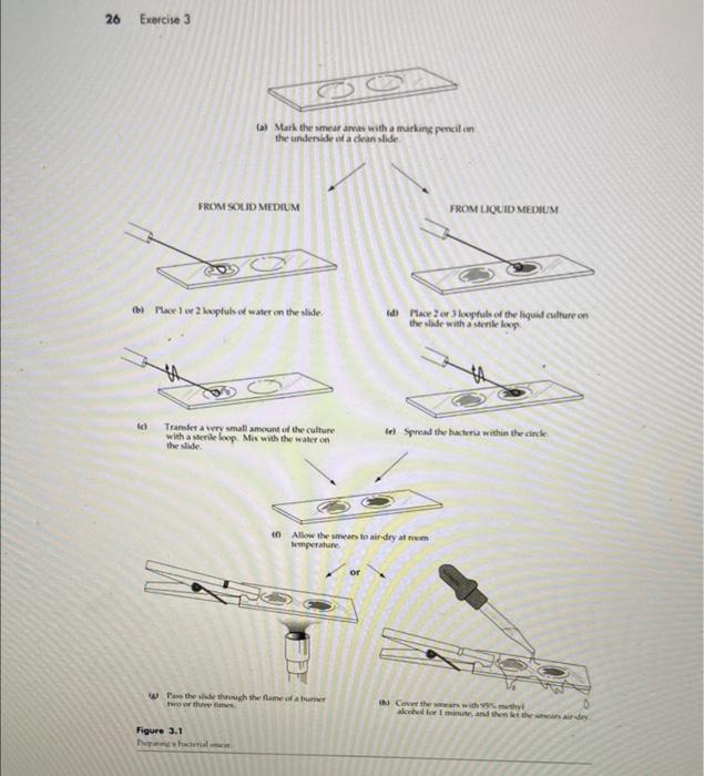 Solved Introduction: Connecting Your Learning Lab 3 | Chegg.com