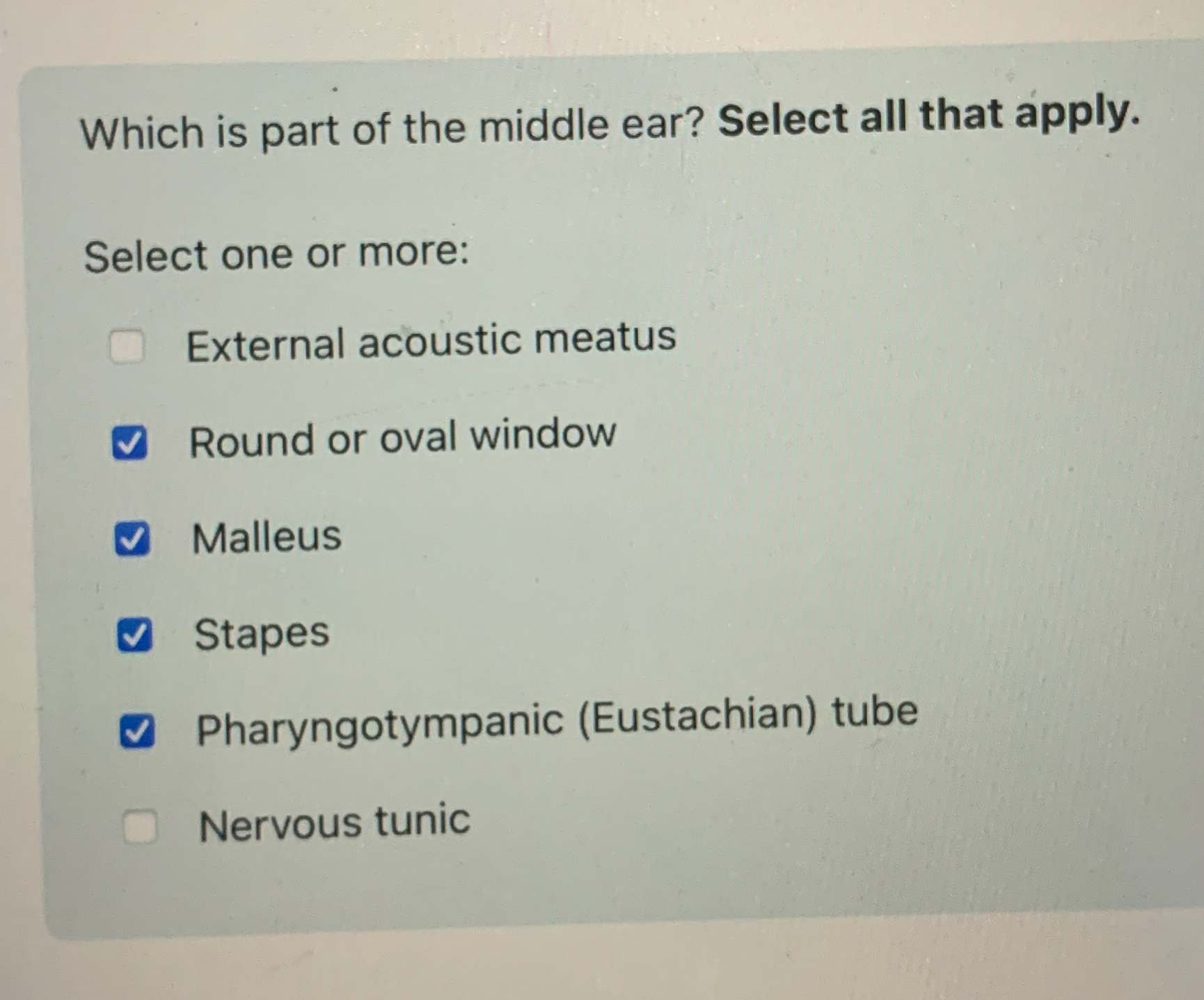 Solved Which is part of the middle ear? Select all that | Chegg.com