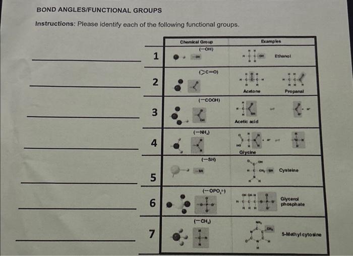 BOND ANGLES/FUNCTIONAL GROUPS Instructions: Please | Chegg.com