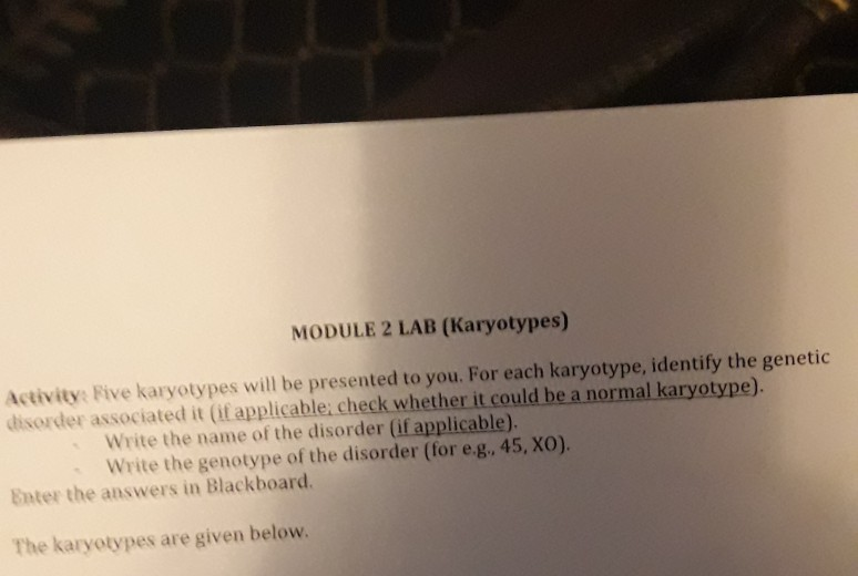 Solved MODULE 2 LAB (Karyotypes) Activity Five karyotypes | Chegg.com