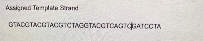 Solved Build a Translation Diagram with the following | Chegg.com