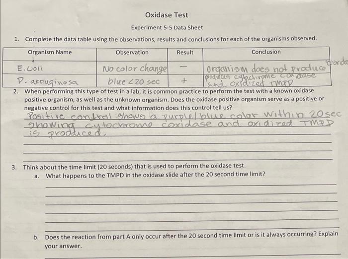 Solved Oxidase Test Experiment 5-5 Data Sheet 1. Complete | Chegg.com