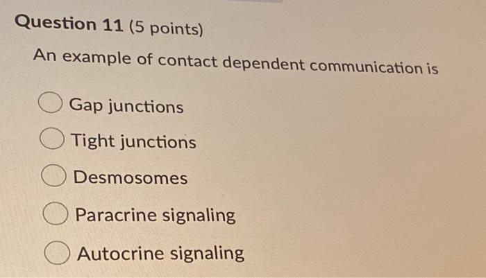 Solved Question 11 (5 points) An example of contact | Chegg.com