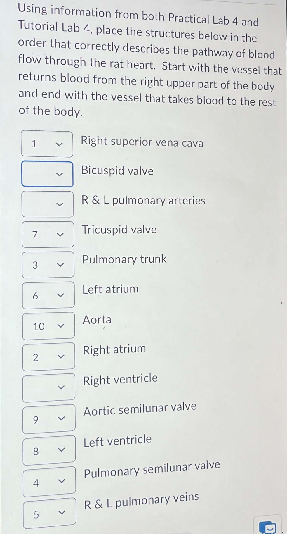 Solved Using information from both Practical Lab 4 ﻿and | Chegg.com