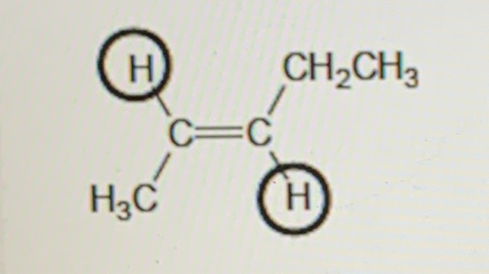 Solved What is the relationship between the circled protons? | Chegg.com
