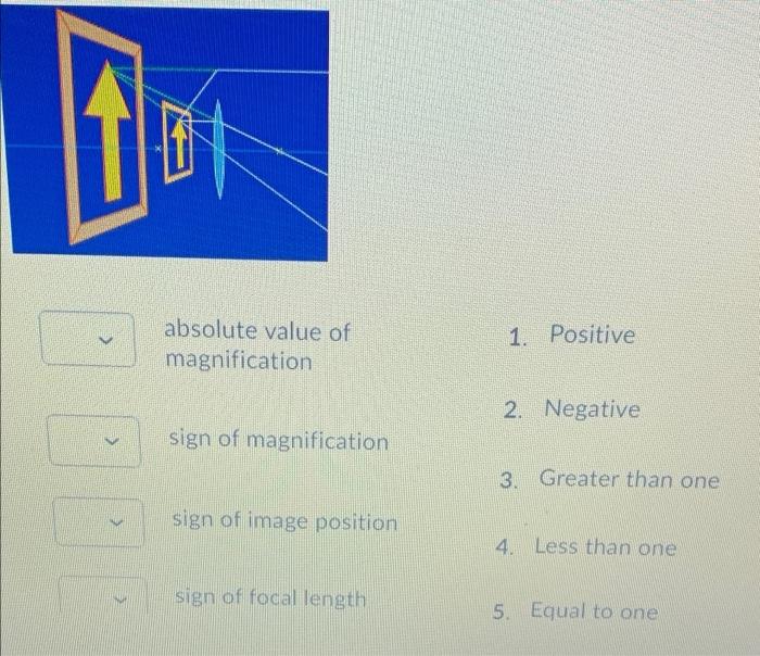 Solved ID: absolute value of magnification 1 Positive 2. | Chegg.com