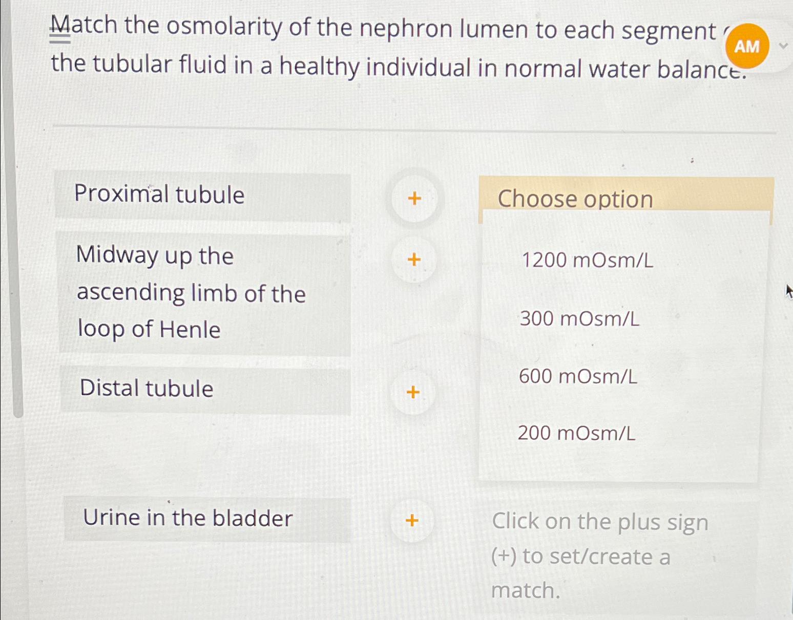 Solved M?? ﻿atch the osmolarity of the nephron lumen to each | Chegg.com