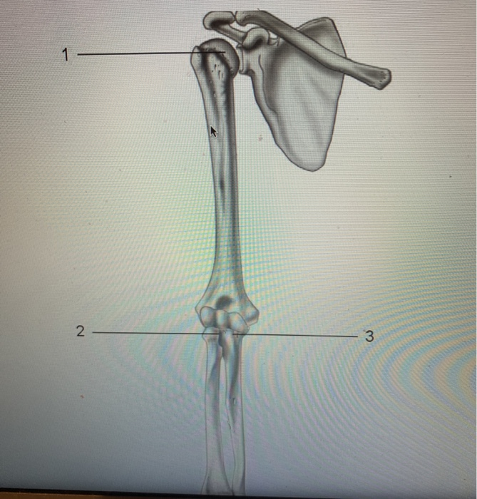 Solved What type of axis does each joint have? 1. | Chegg.com