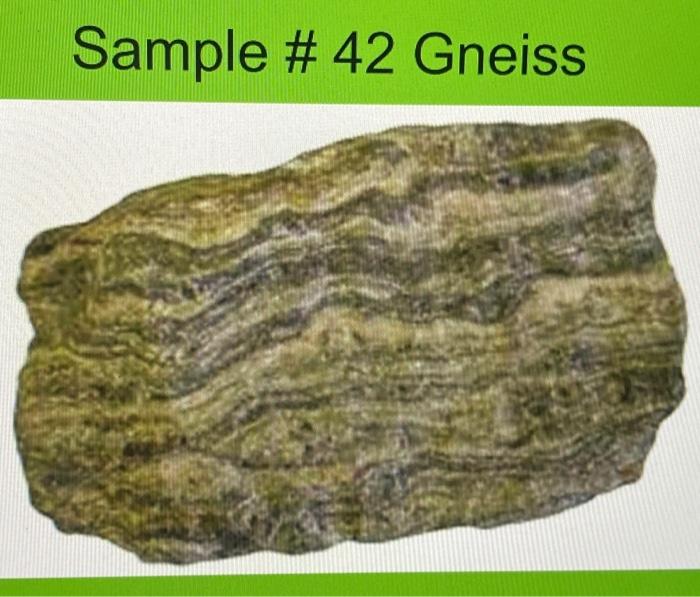 Solved Step 3: Use the igneous rock identification key in | Chegg.com