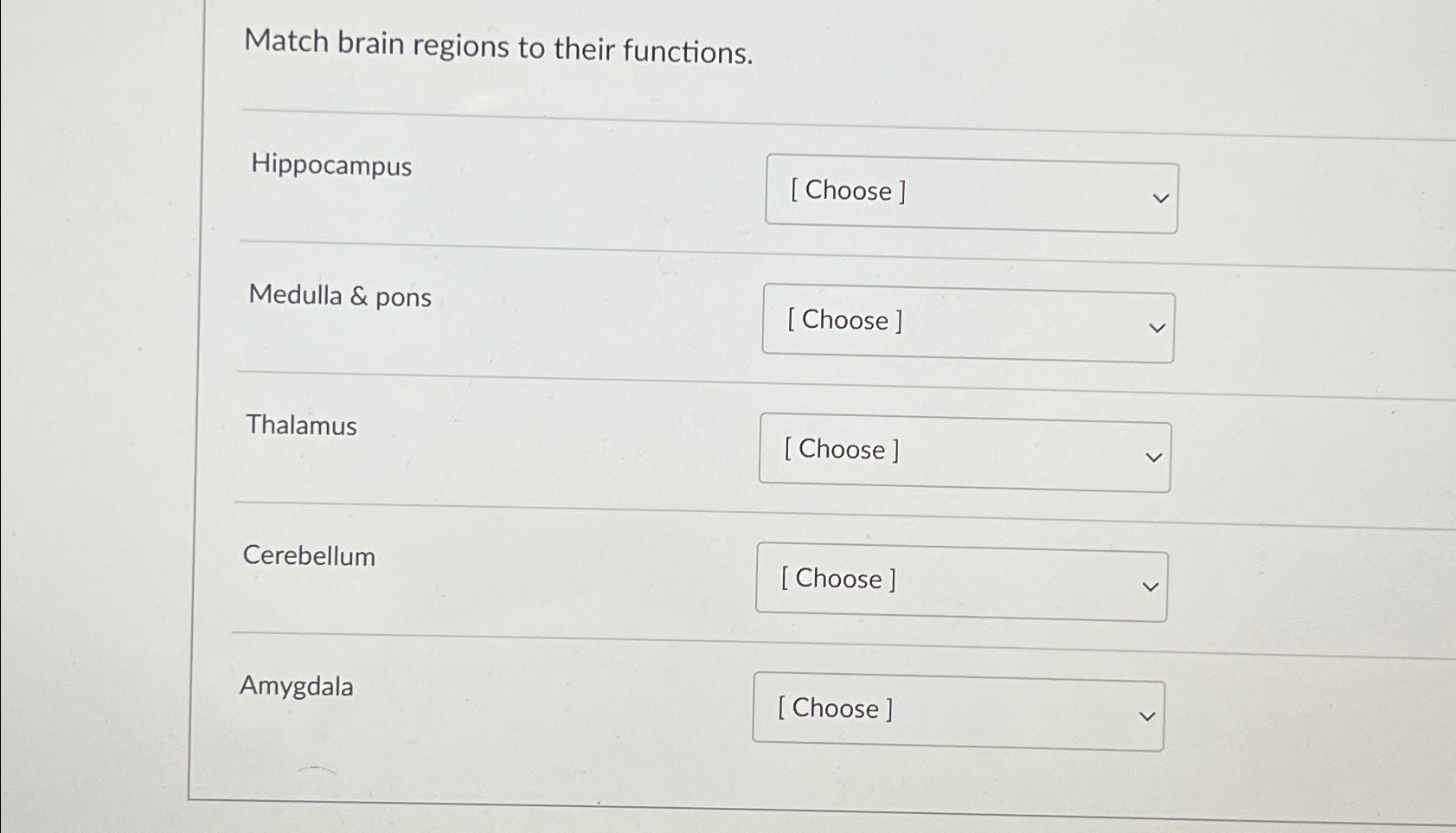 Solved Match brain regions to their | Chegg.com