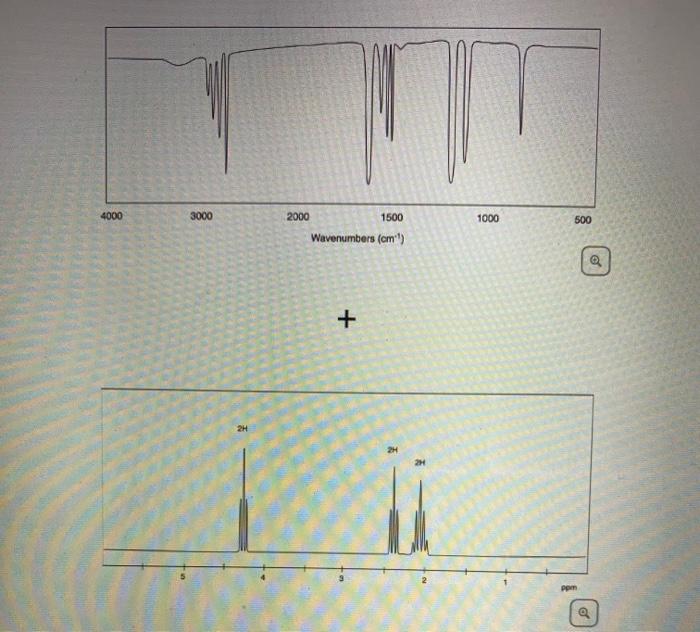 Solved Consider a molecule with the molecular formula of | Chegg.com