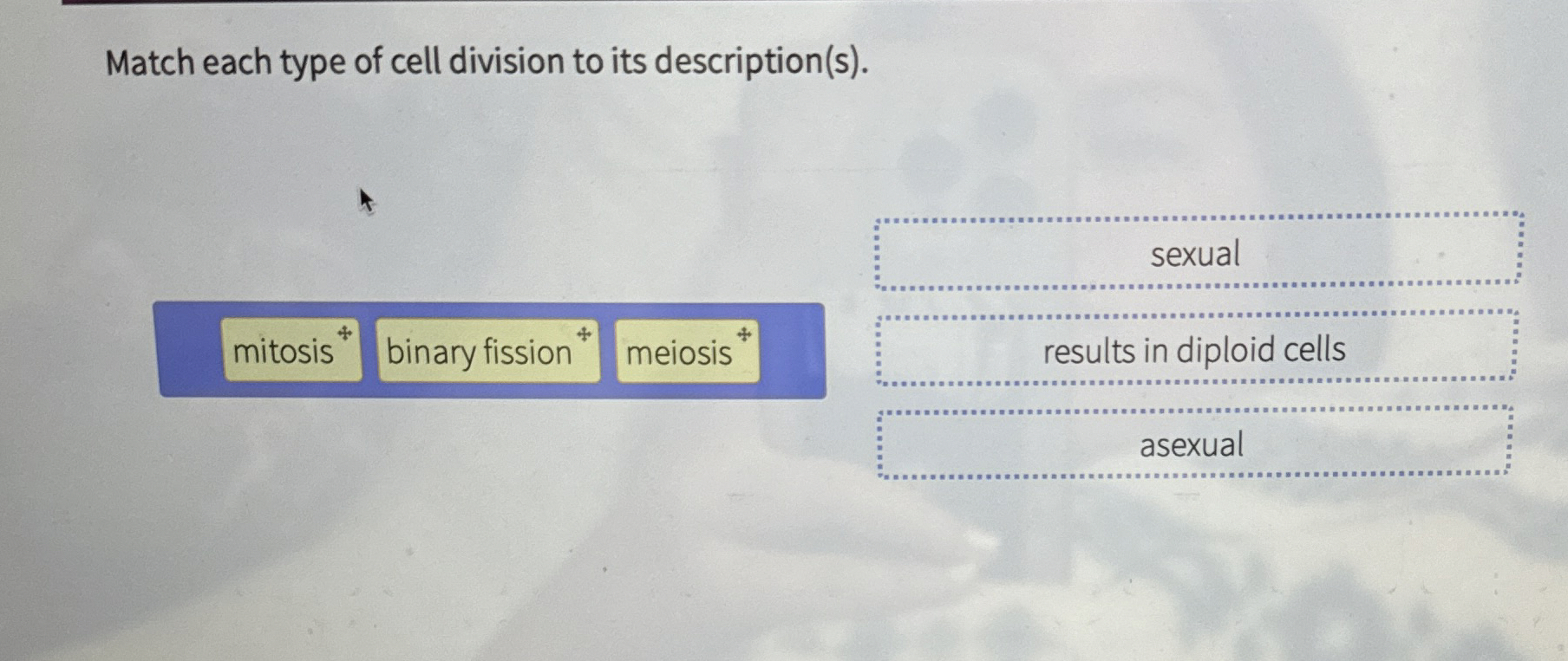 Solved Match each type of cell division to its | Chegg.com