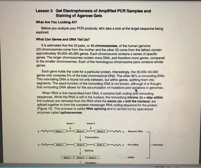 Solved Lesson 1 Cheek Cell DNA Template Preparation (Lab | Chegg.com