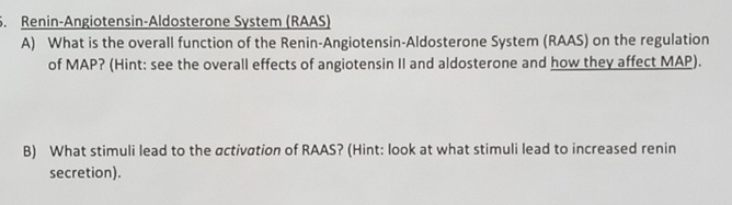 Solved Renin-Angiotensin-Aldosterone System (RAAS)A) ﻿What | Chegg.com
