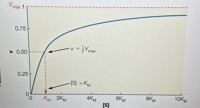 Solved The Graph Of The Michaelis Menten Equation Shown Here