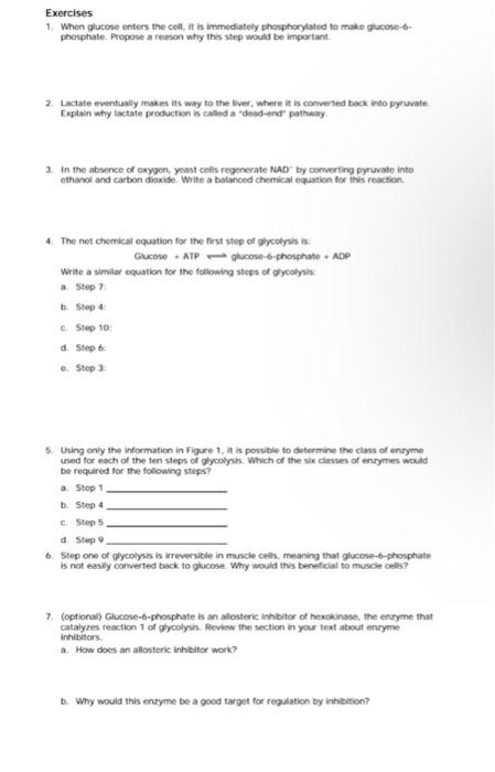 Solved Exercises 1. When glucose enters the cell, it is | Chegg.com