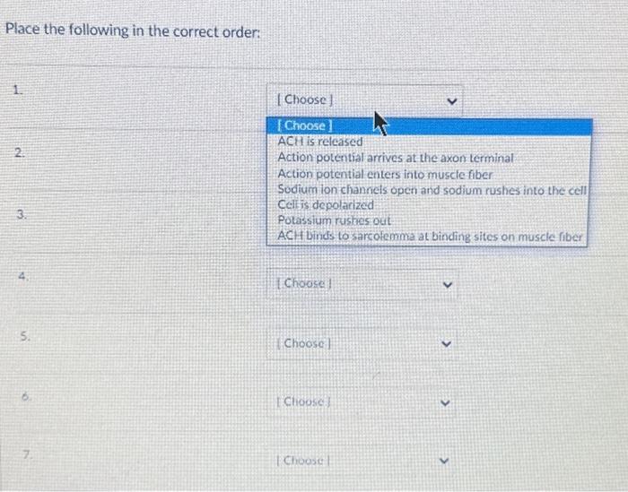 Solved Place the following in the correct order: | Chegg.com