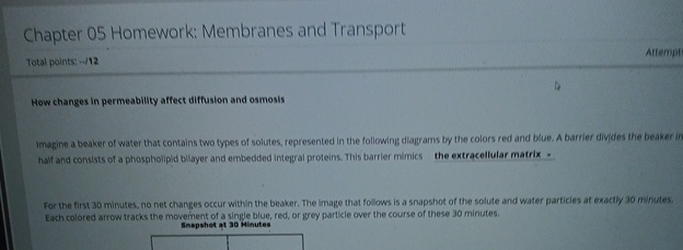 Solved Chapter 05 ﻿Homework: Membranes and TransportTotal | Chegg.com