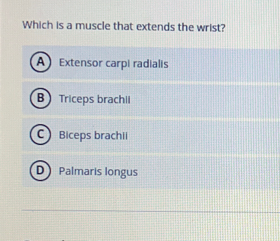 Solved Which is a muscle that extends the wrist?Extensor | Chegg.com