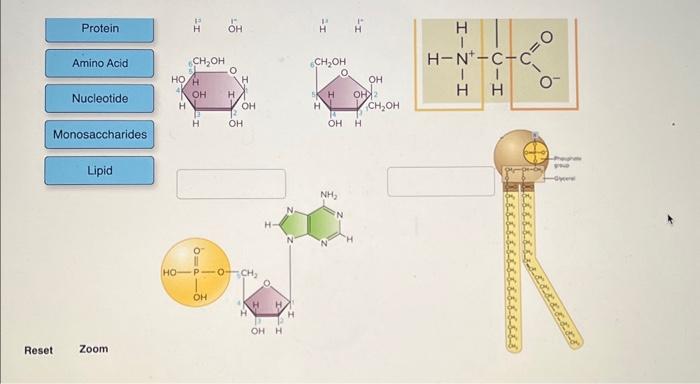 Solved 7 ts eBook ferences Correctly identify each of the | Chegg.com