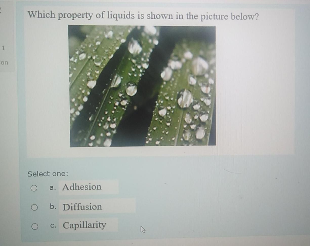 Solved Which property of liquids is shown in the picture | Chegg.com