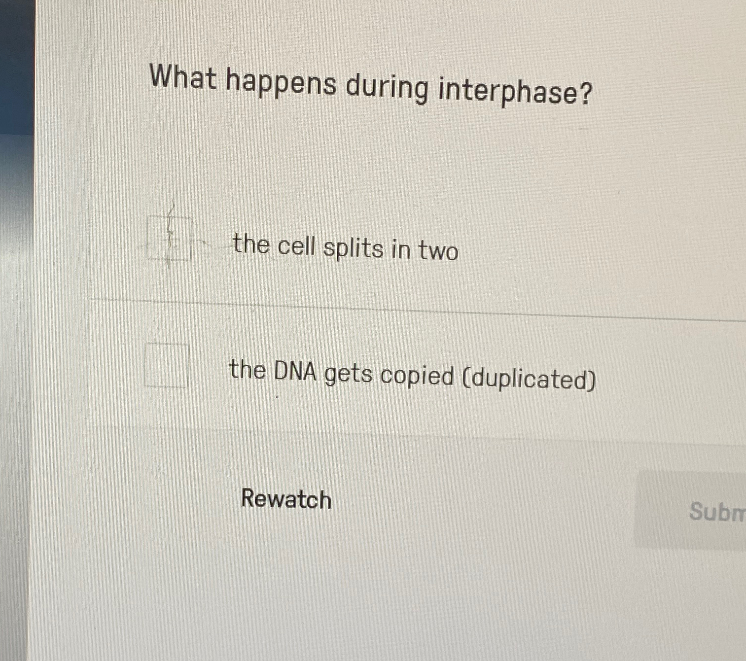 Solved What happens during interphase?the cell splits in | Chegg.com
