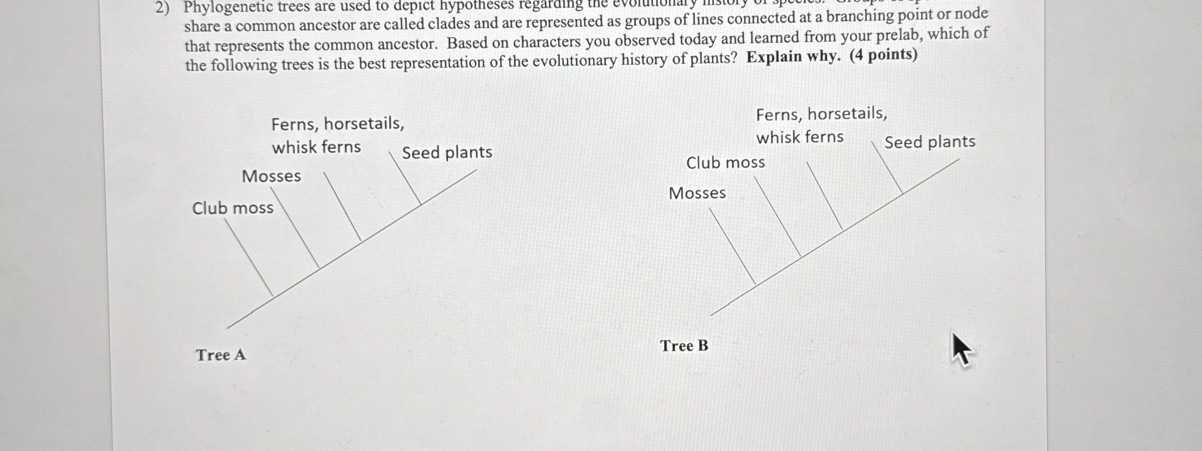 Solved Phylogenetic trees are used to depict hypotheses | Chegg.com