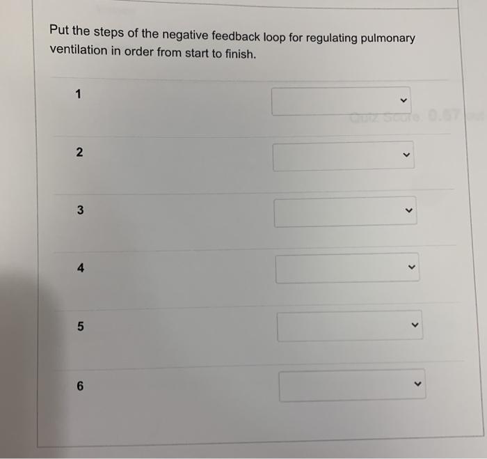 Solved Put the steps of the negative feedback loop for | Chegg.com