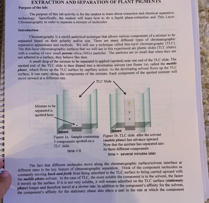 Solved EXTRACTION AND SEPARATION OF PLANT PIGMENTS Purpose | Chegg.com