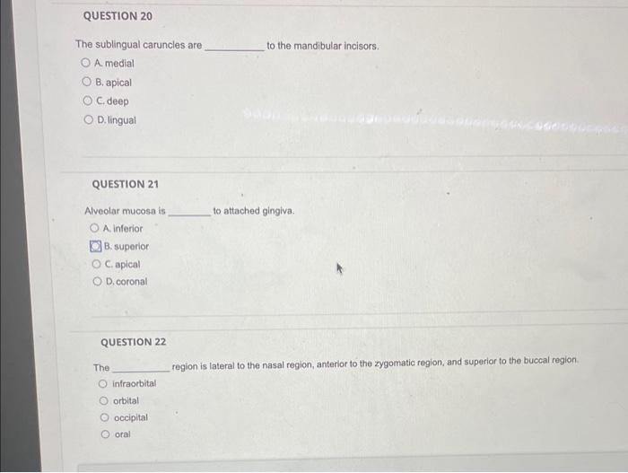 Solved The sublingual caruncles are to the mandibular | Chegg.com